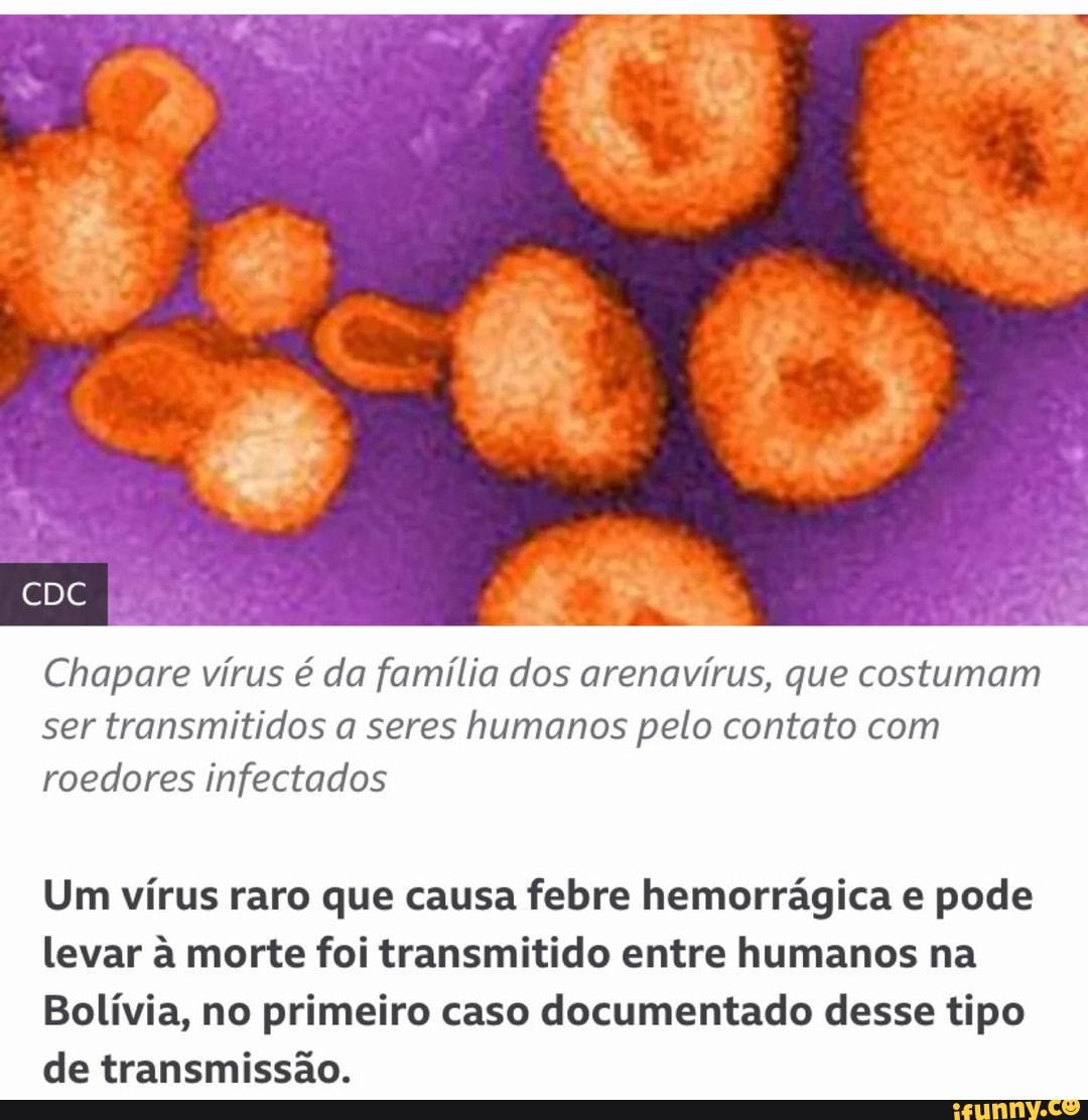 CDC de Chapare vírus é da família dos arenavírus, que costumam ser ...