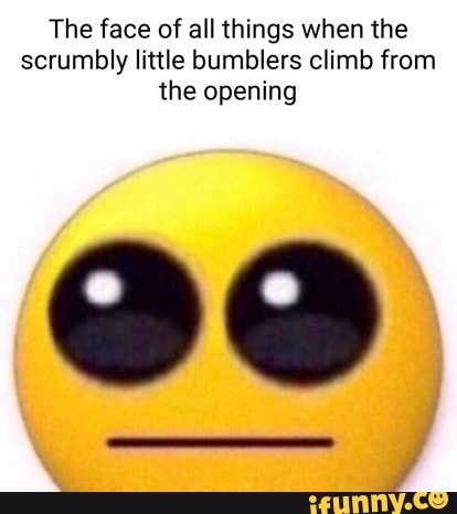 Scrumbly memes. Best Collection of funny Scrumbly pictures on iFunny
