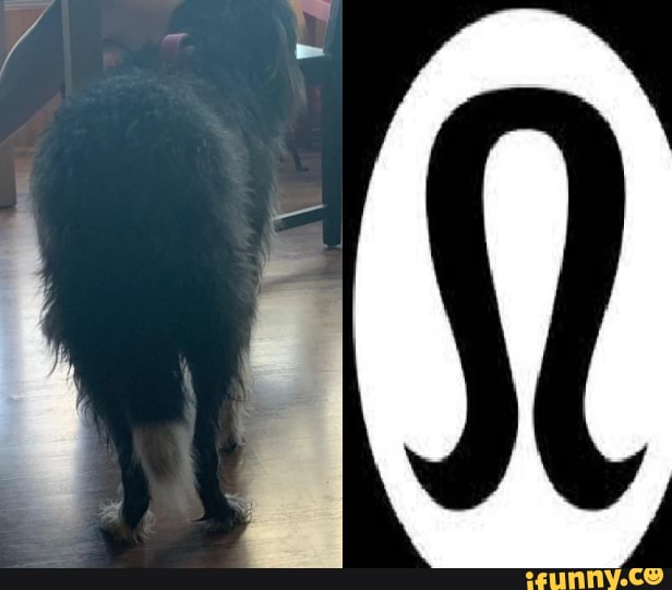 Lululemon memes. Best Collection of funny Lululemon pictures on iFunny