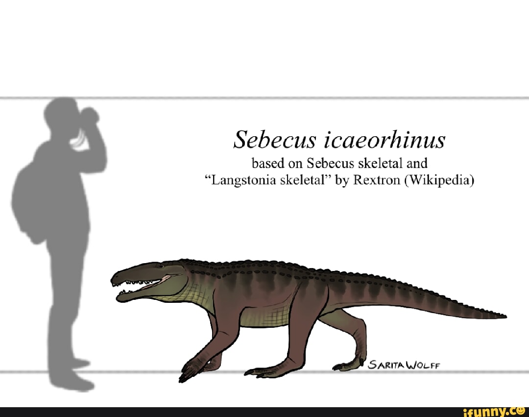 Sebecus icaeorhinus based on Sebecus skeletal and "Langstonia skeletal ...