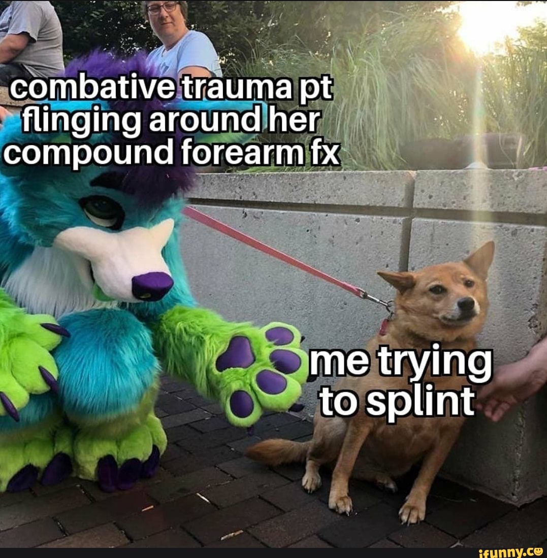 Splint memes. Best Collection of funny Splint pictures on iFunny