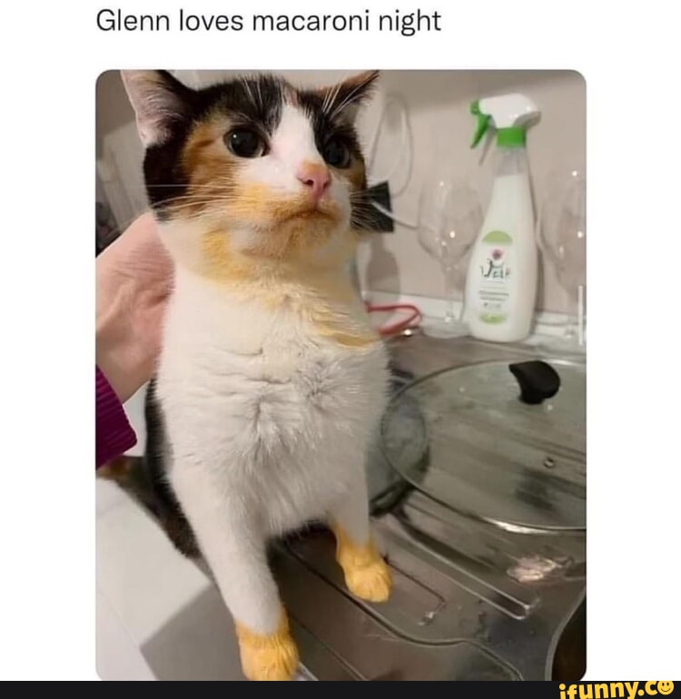 Glenn memes. Best Collection of funny Glenn pictures on iFunny