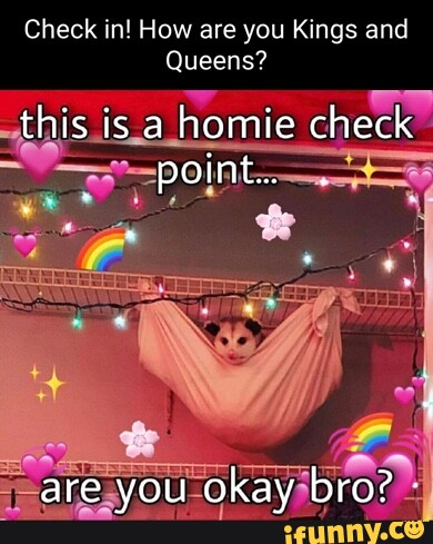 Check in! How are you Kings and Queens? this is a homie check point ...