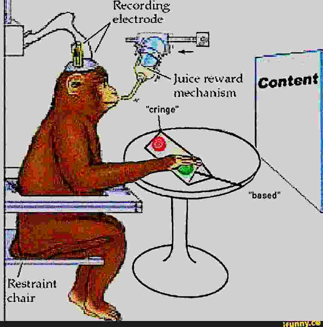 Recording electrode Juice reward Content mechanism "ba sed" "cringe ...