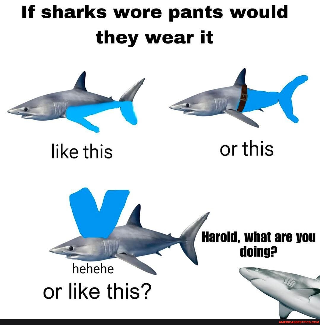 👖 🦈 Meme by Hedda Evensen - If sharks wore pants would they wear it ...