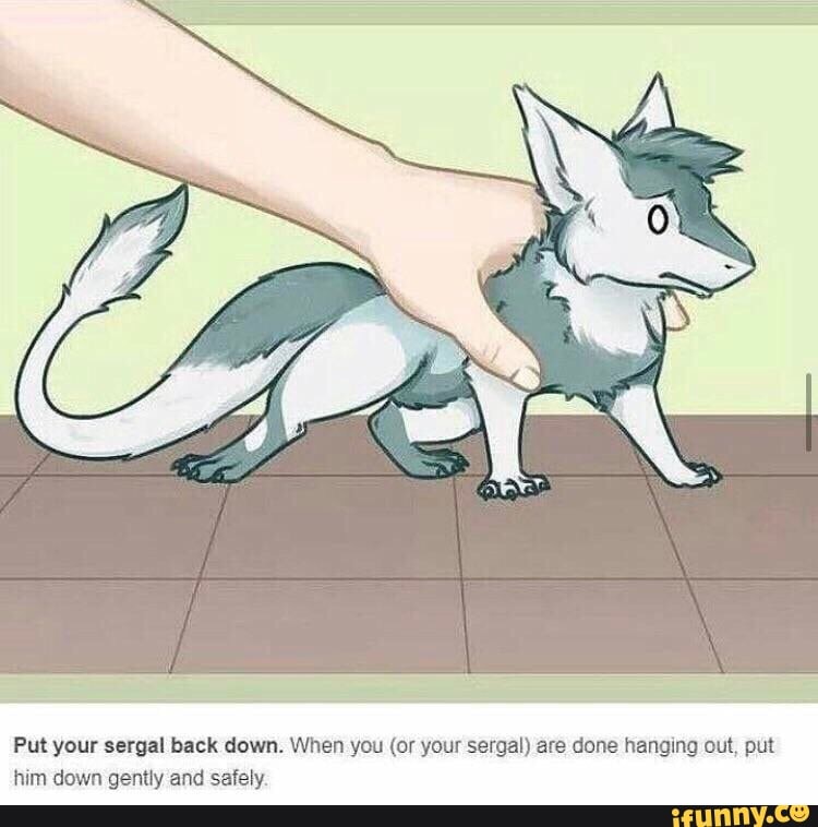 Put your sergal back down. When you (or your sergal) ara done hanging ...