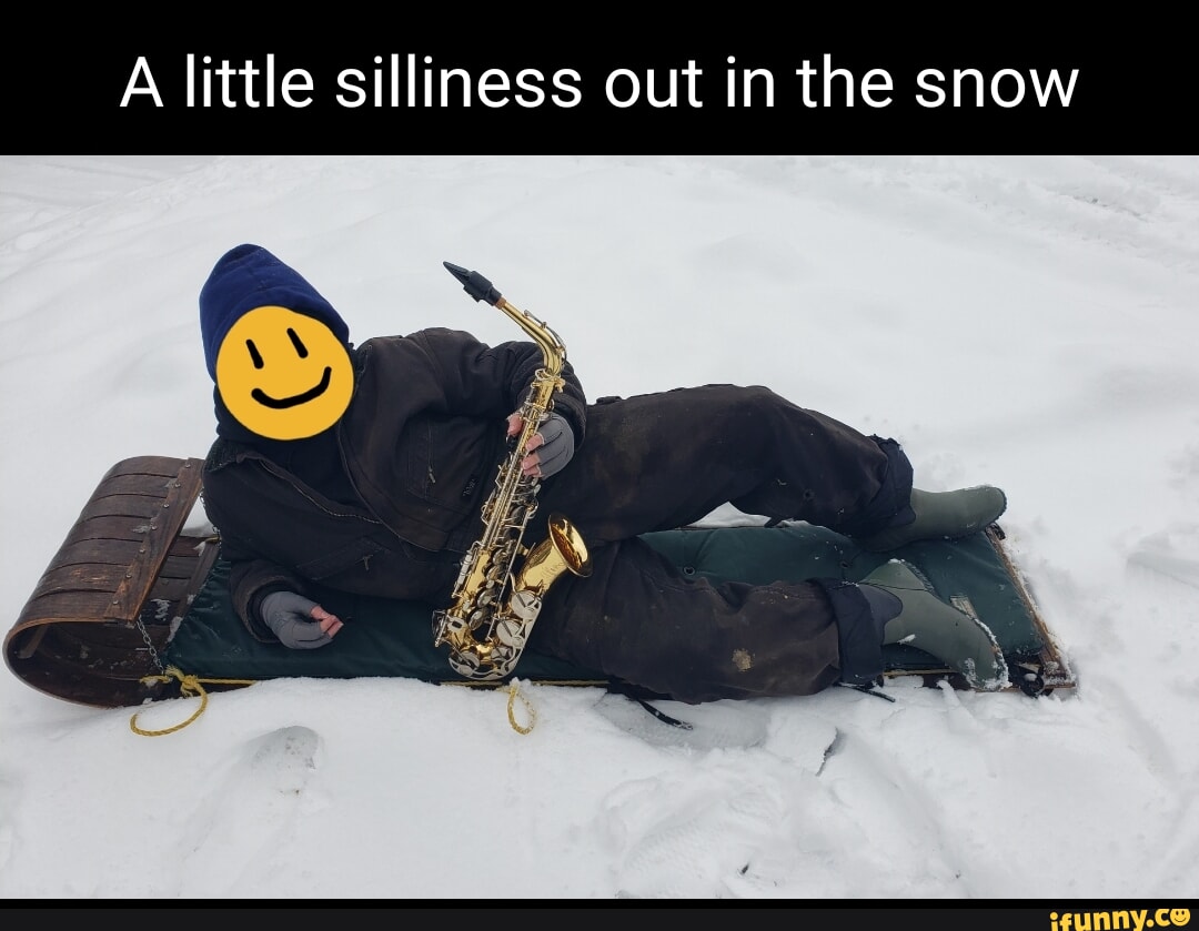 Snowpocalypse memes. Best Collection of funny Snowpocalypse pictures on ...