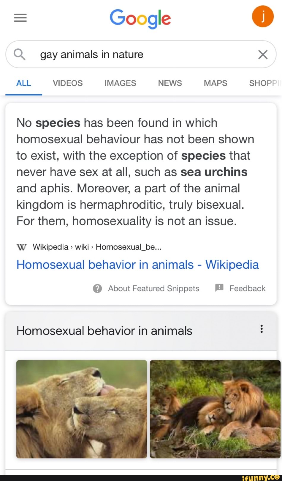 Homosexuality In The Animal Kingdom