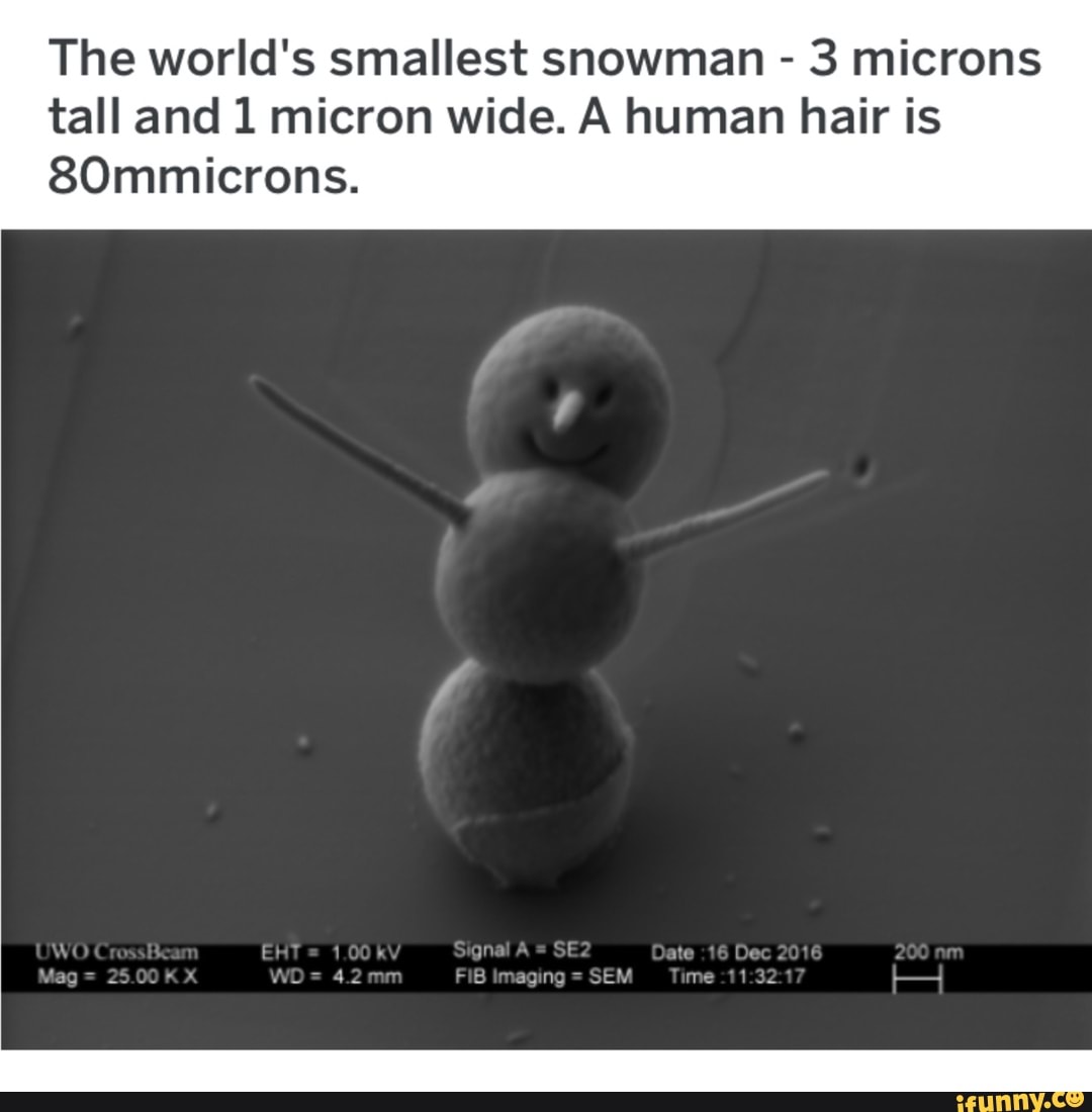 The world's smallest snowman - 3 microns tall and 1 micron wide. A ...