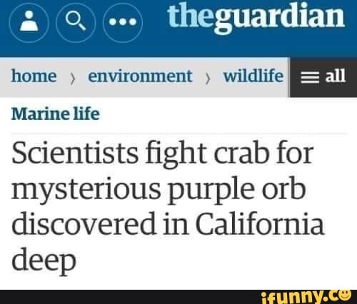 Theguardian all home environment wildlife Marine life Scientists fight ... Theguardian all home environment wildlife Marine life Scientists fight ...