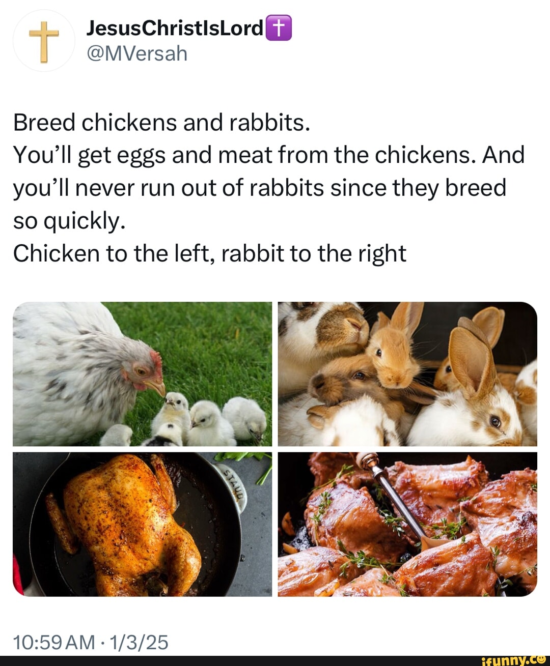 Breed chickens and rabbits. You'll get eggs and meat from the chickens ...