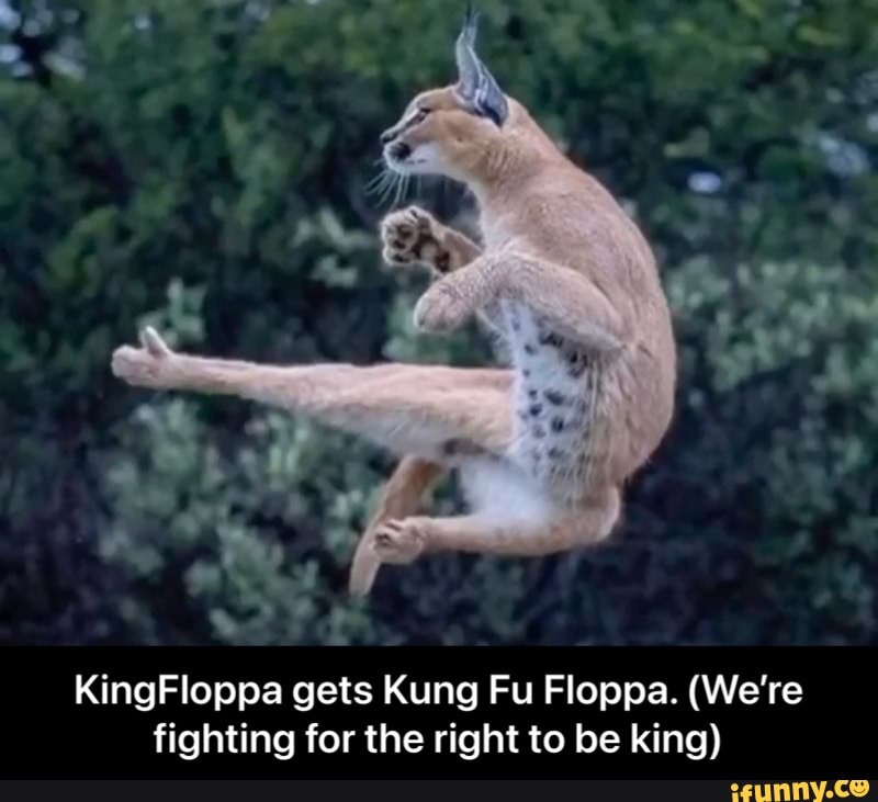 SS \ KingFloppa gets Kung Fu Floppa. (We're fighting for the right to ...