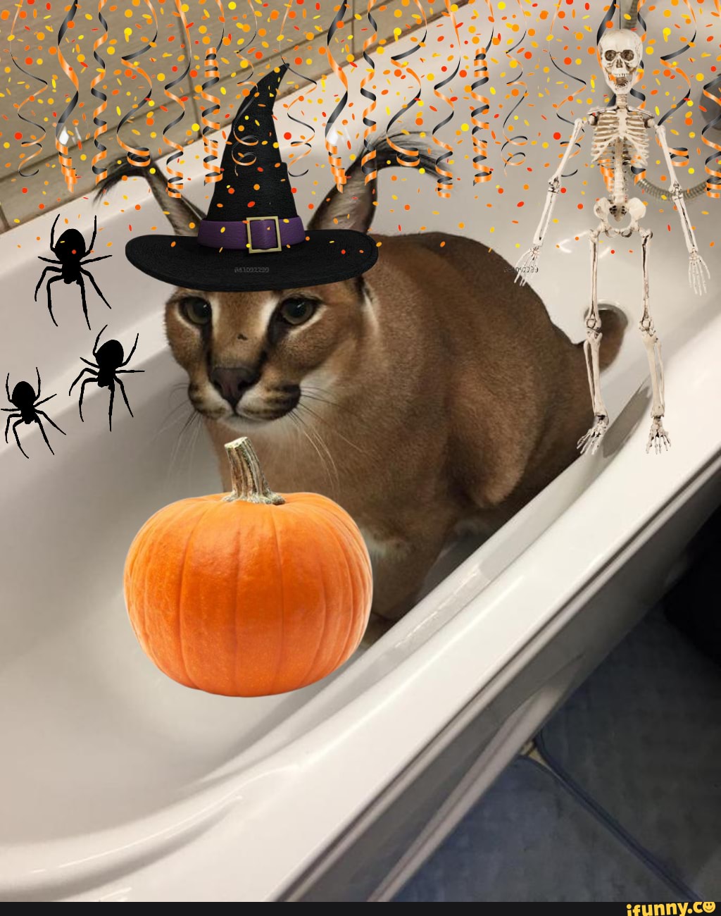 My new discord pfp for october - iFunny