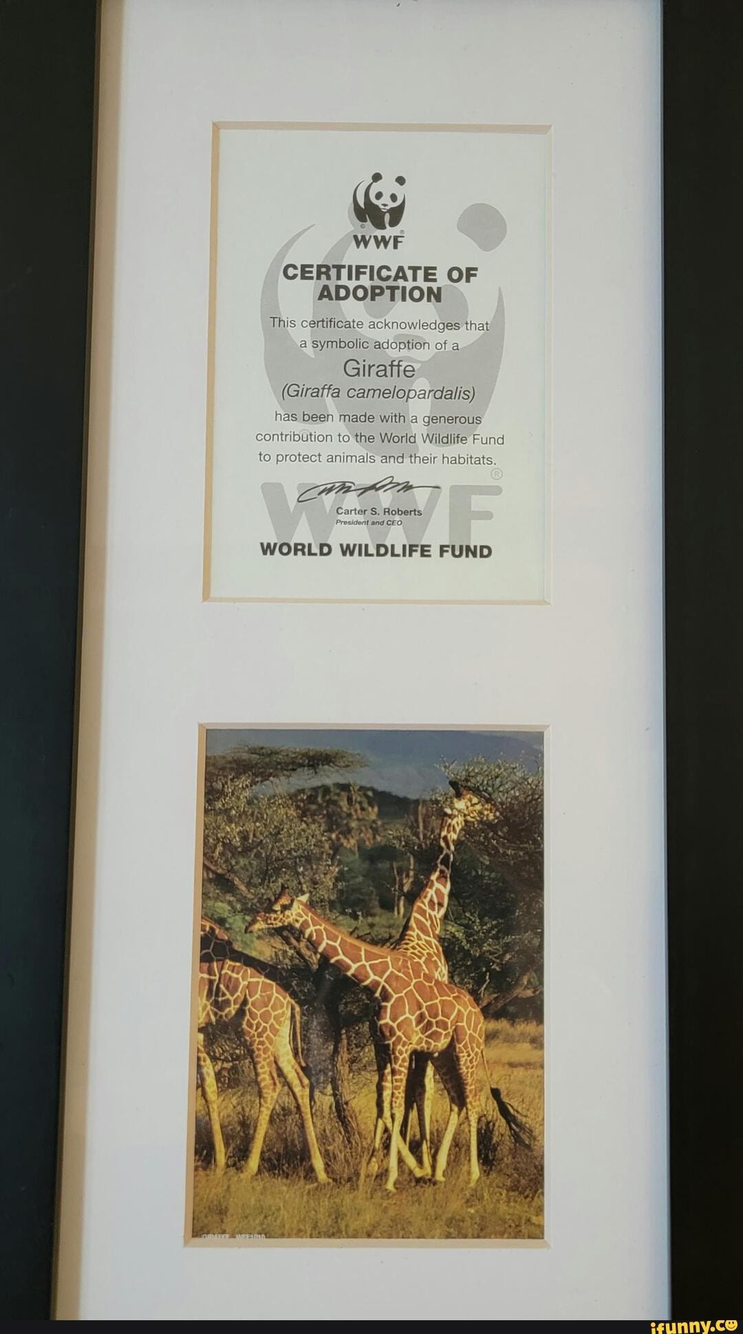 Oe CERTIFICATE OF ADOPTION This certificate acknowledges that a ...