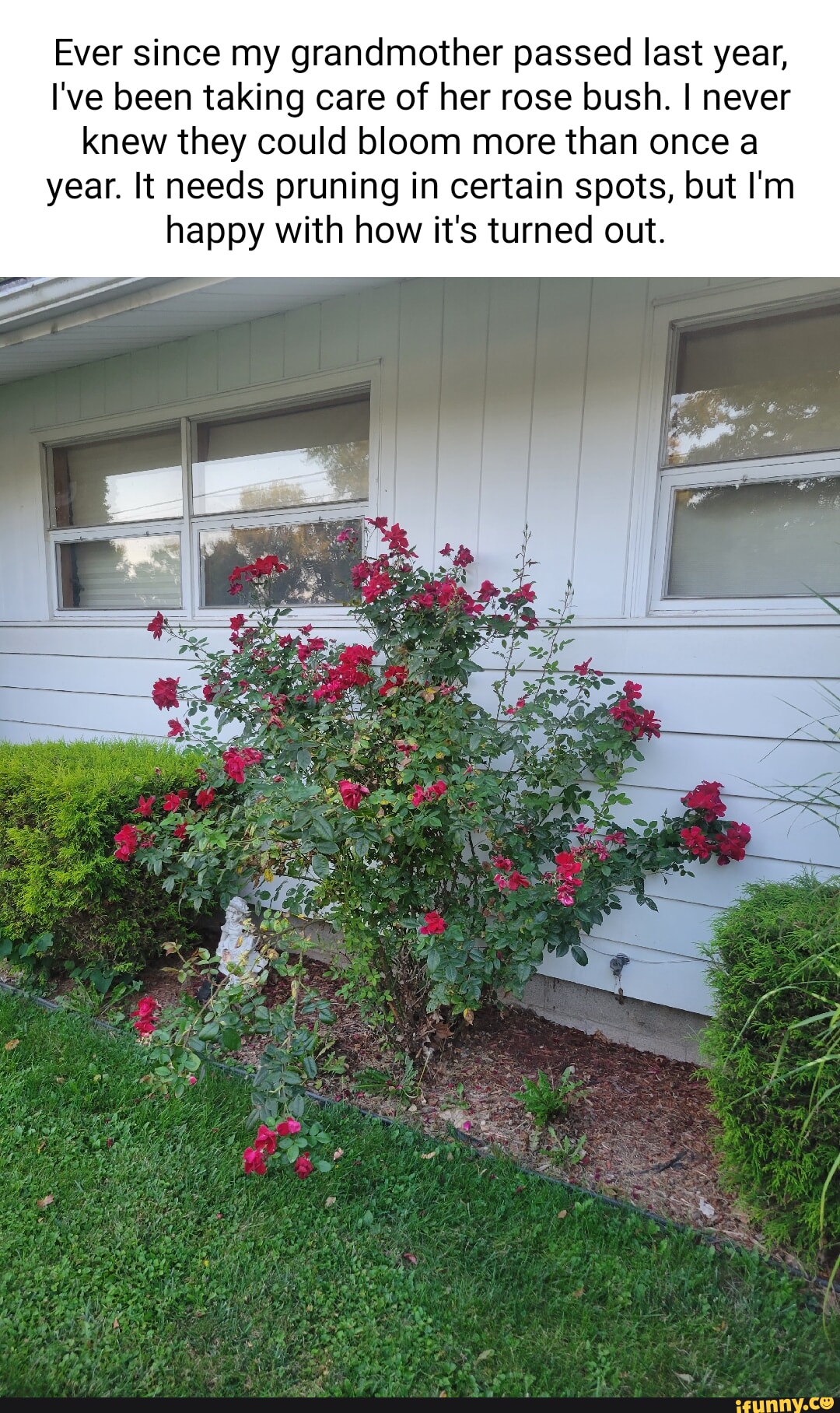 Pruning memes. Best Collection of funny Pruning pictures on iFunny