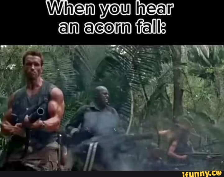 Video memes TAkQrDdT9 by nippletwister9000_2013: 18 comments - iFunny