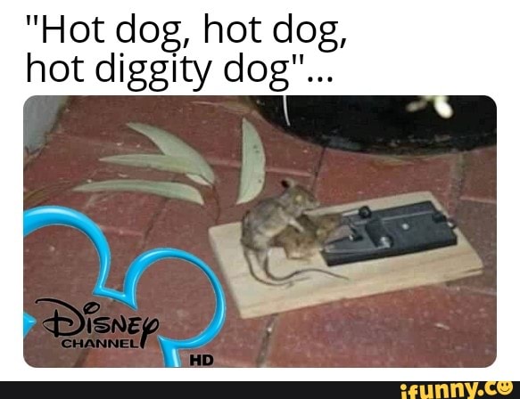 "Hot dog, hot dog, hot diggity dog"... - iFunny