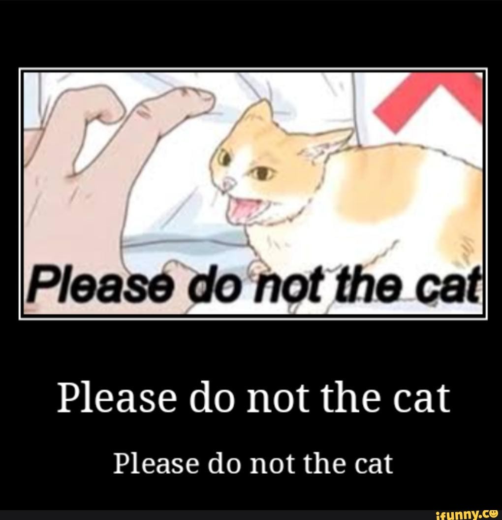 Please do''hot the ca Please do not the cat Please do not the cat - iFunny