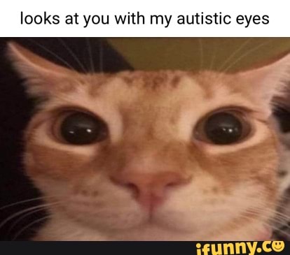 Looks at you with my autistic eyes - iFunny