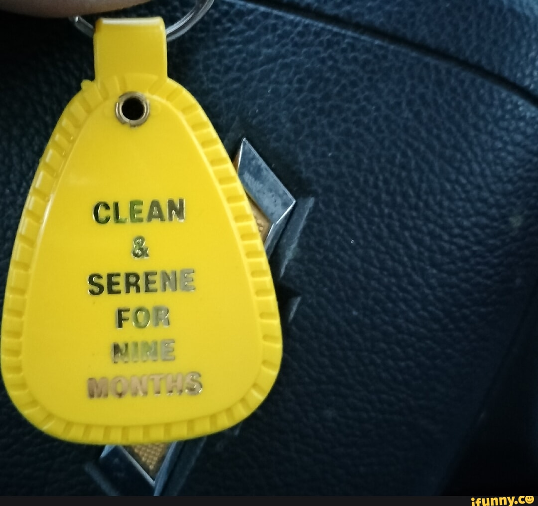 Sere memes. Best Collection of funny Sere pictures on iFunny