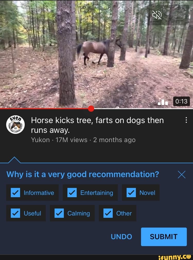 Horse kicks tree, farts on dogs then runs away. Yukon views 2 months ...
