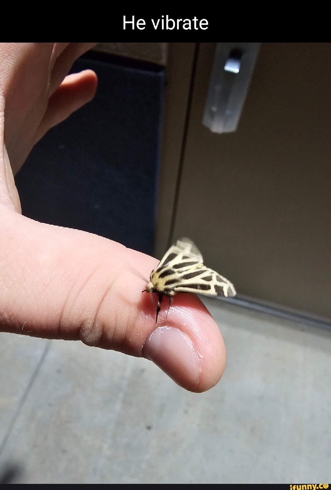 Moff memes. Best Collection of funny Moff pictures on iFunny