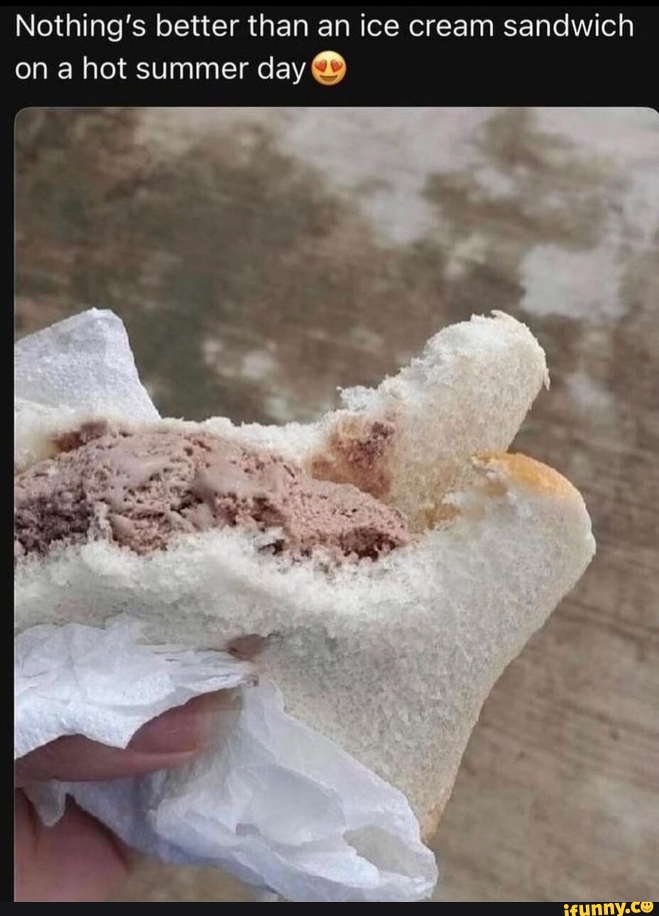Nothing's better than an ice cream sandwich on a hot summer day - iFunny