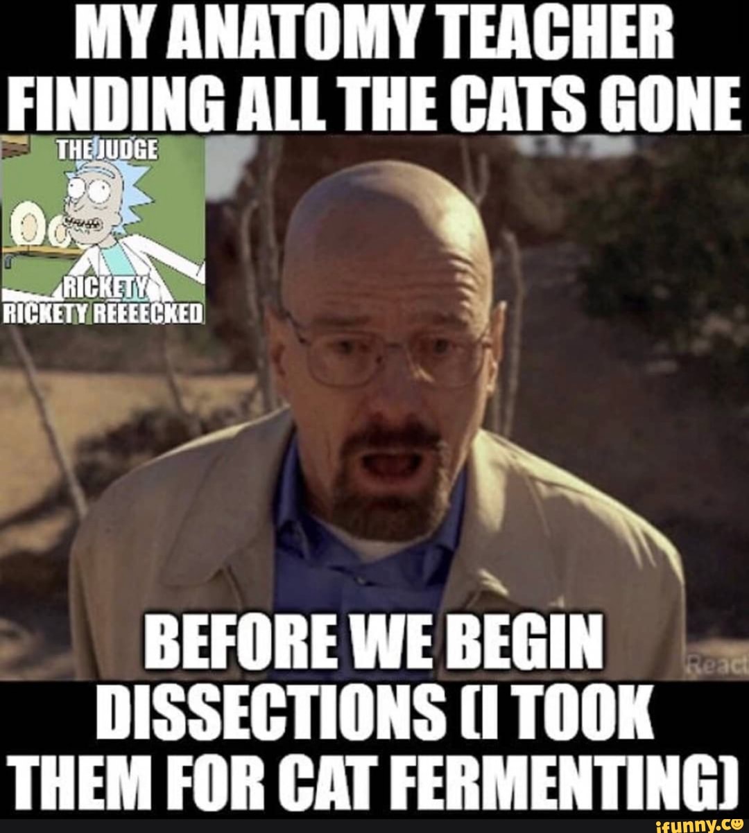 Dissections memes. Best Collection of funny Dissections pictures on iFunny