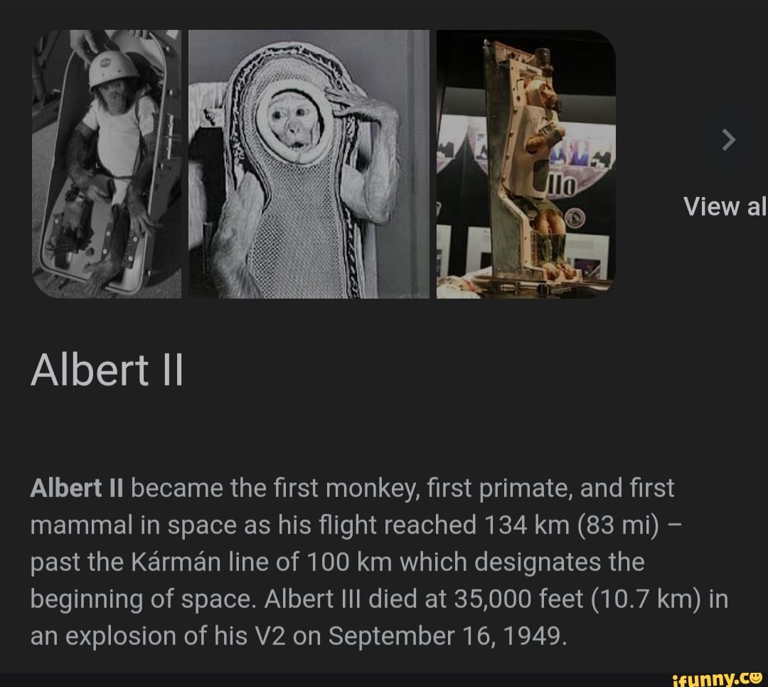 View al Albert II Albert II became the first monkey, first primate, and ...