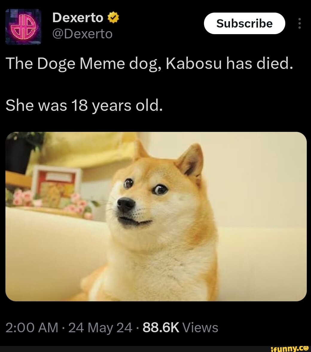 Dexerto @Dexerto The Doge Meme dog, Kabosu has died. She was 18 years ...