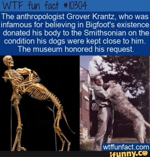 W nºun facf M0304 The anthropologist Grover Krantz, who was infamous ...