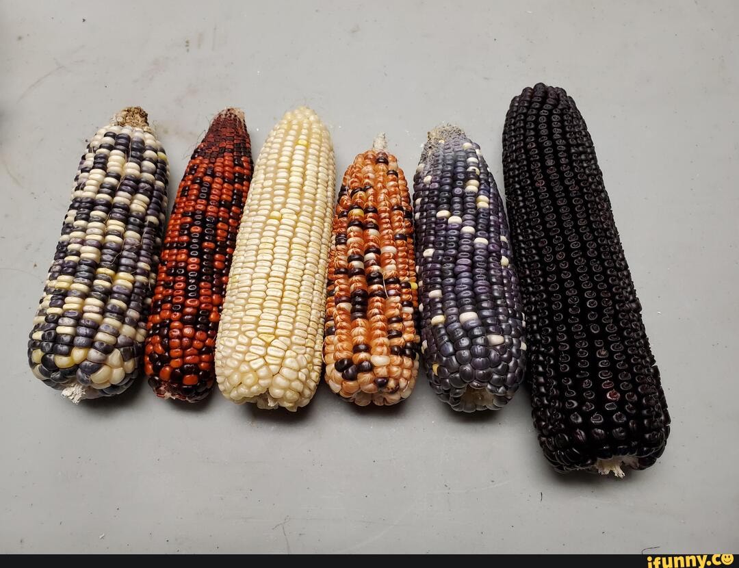 Historic_farming memes. Best Collection of funny Historic_farming ...