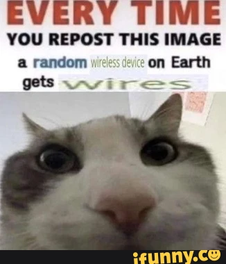YOU REPOST THIS IMAGE random wireless device on Earth gets - iFunny