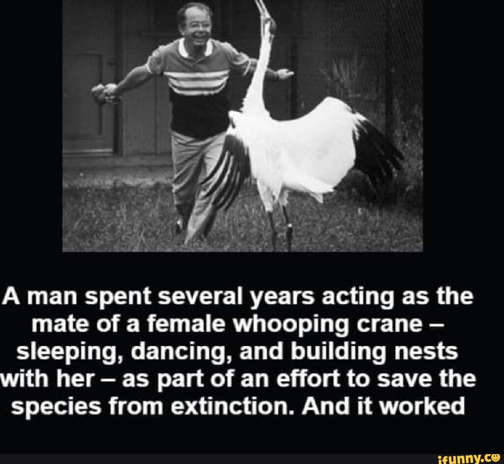 Whooping memes. Best Collection of funny Whooping pictures on iFunny