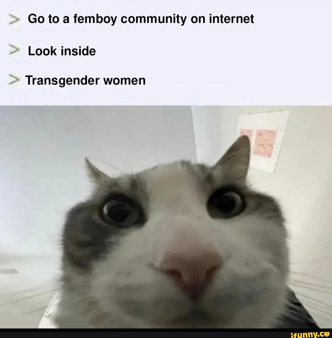 Go to a femboy community on internet Look inside Transgender women - iFunny