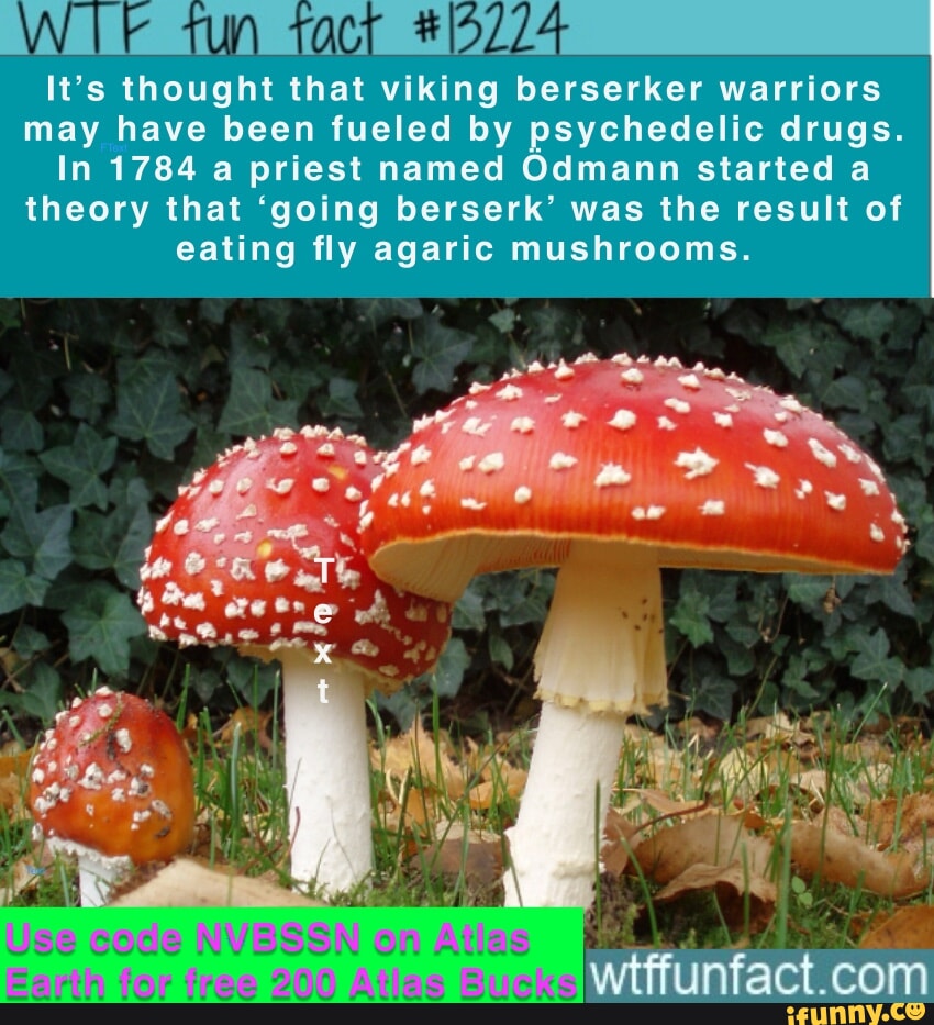 REAL AMERICAN CREEP" A - iFunny