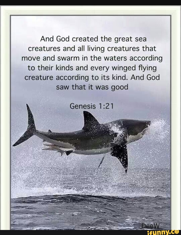 And God created the great sea creatures and all living creatures that ...
