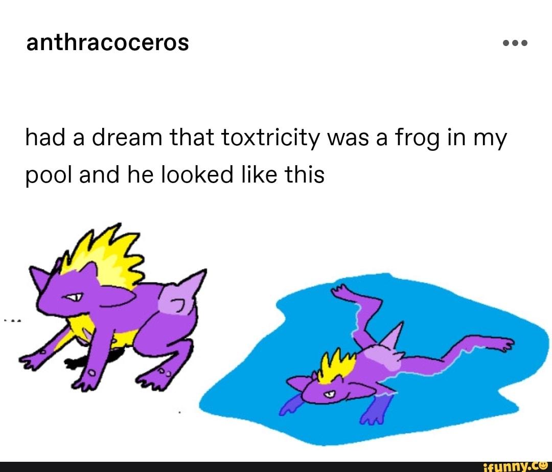 Anthracoceros coe had a dream that toxtricity was a frog in my pool and ...