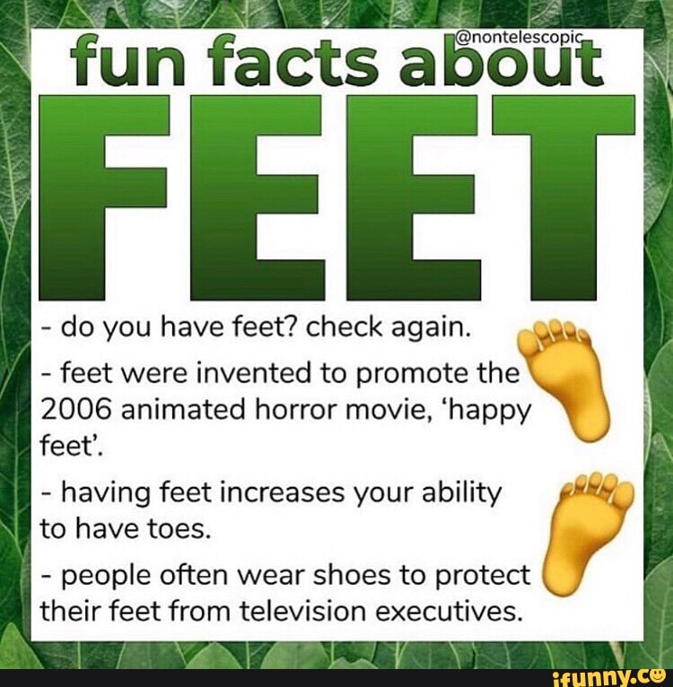Fun facts about FEEI - do you have feet? check again. - feet were ...