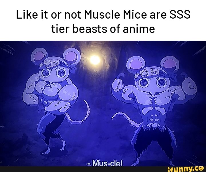 Musclemice memes. Best Collection of funny Musclemice pictures on iFunny