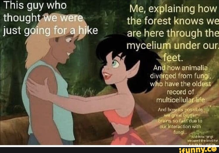 Fungi memes. Best Collection of funny Fungi pictures on iFunny