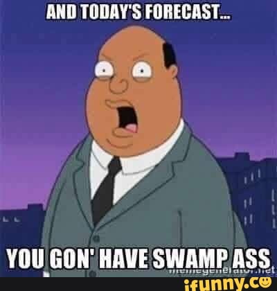 Swampass memes. Best Collection of funny Swampass pictures on iFunny