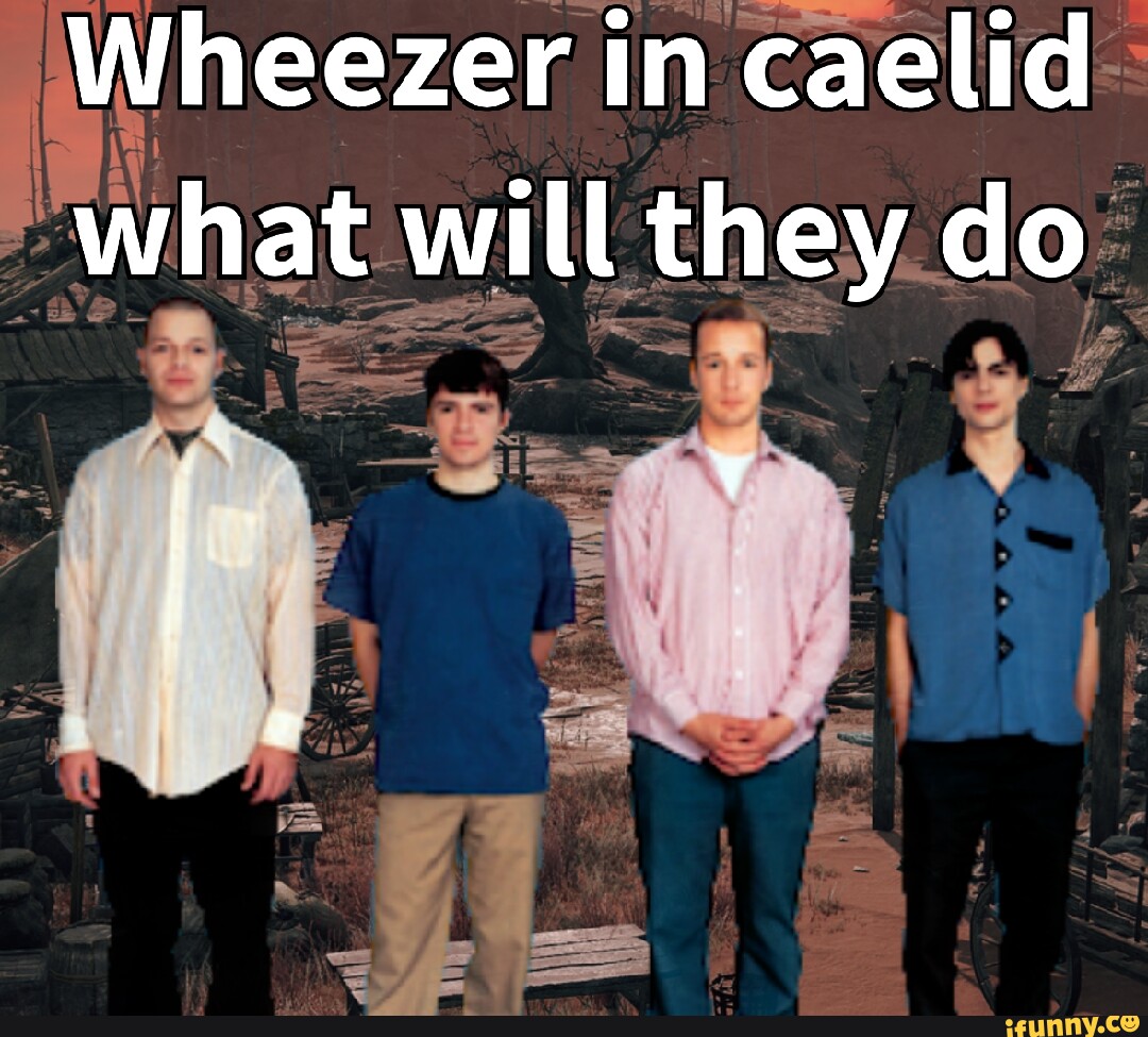 Caelid memes. Best Collection of funny Caelid pictures on iFunny