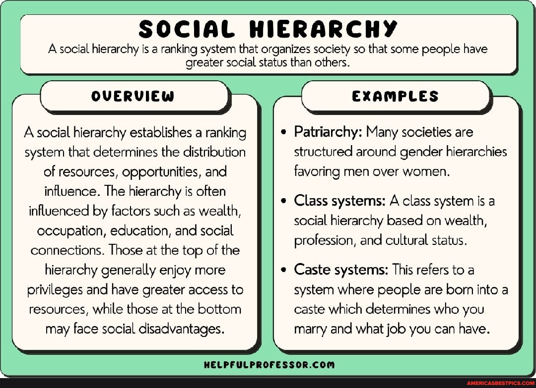 SOCIAL HIERARCHY A social hierarchy is a ranking system that organizes ...
