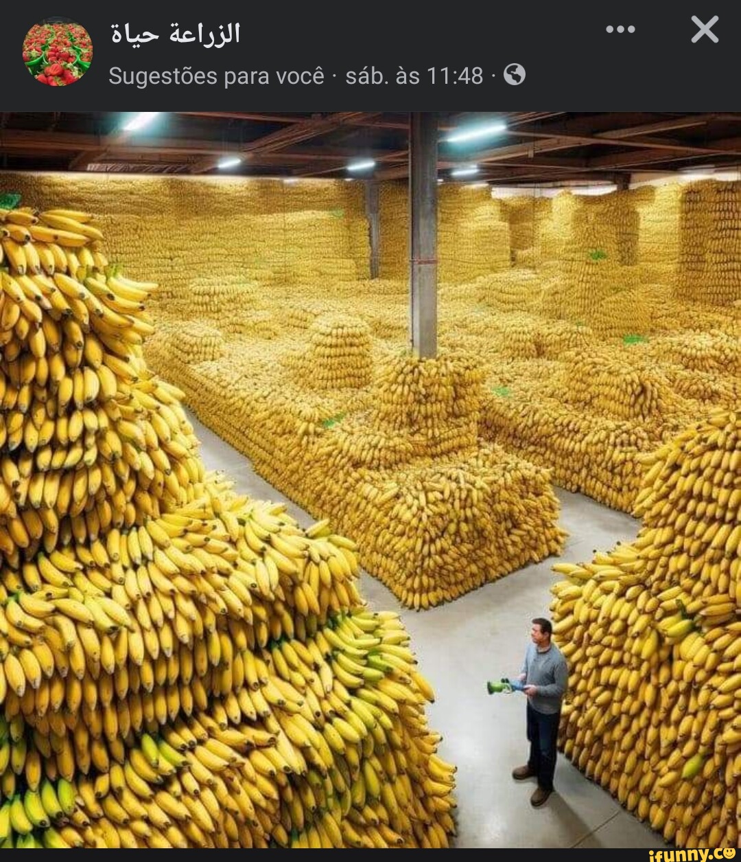 Sugestões para você sáb. s - iFunny