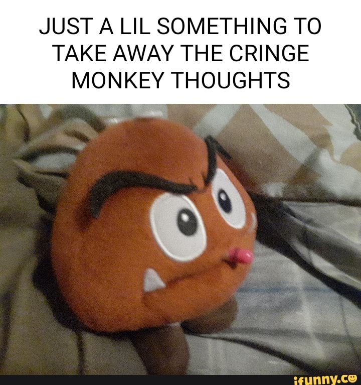 JUST A LIL SOMETHING TO TAKE AWAY THE CRINGE MONKEY THOUGHTS - iFunny