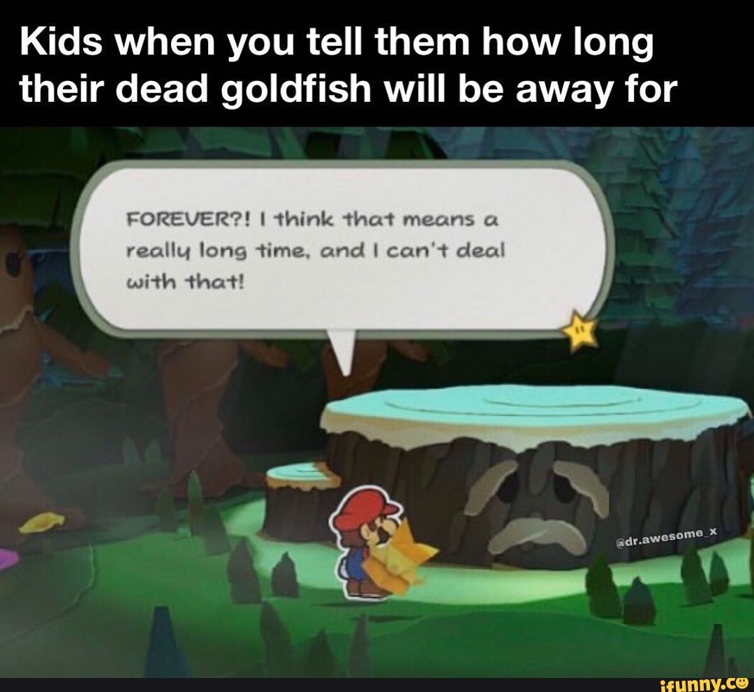 Kids when you tell them how long their dead goldfish will be away for ...