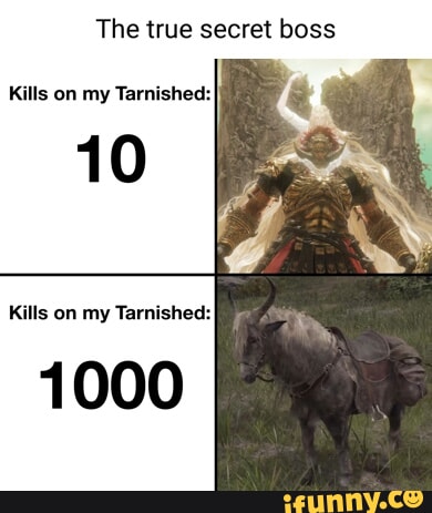 The true secret boss Kills on my Tarnished: 10 Kills on my Tarnished ...
