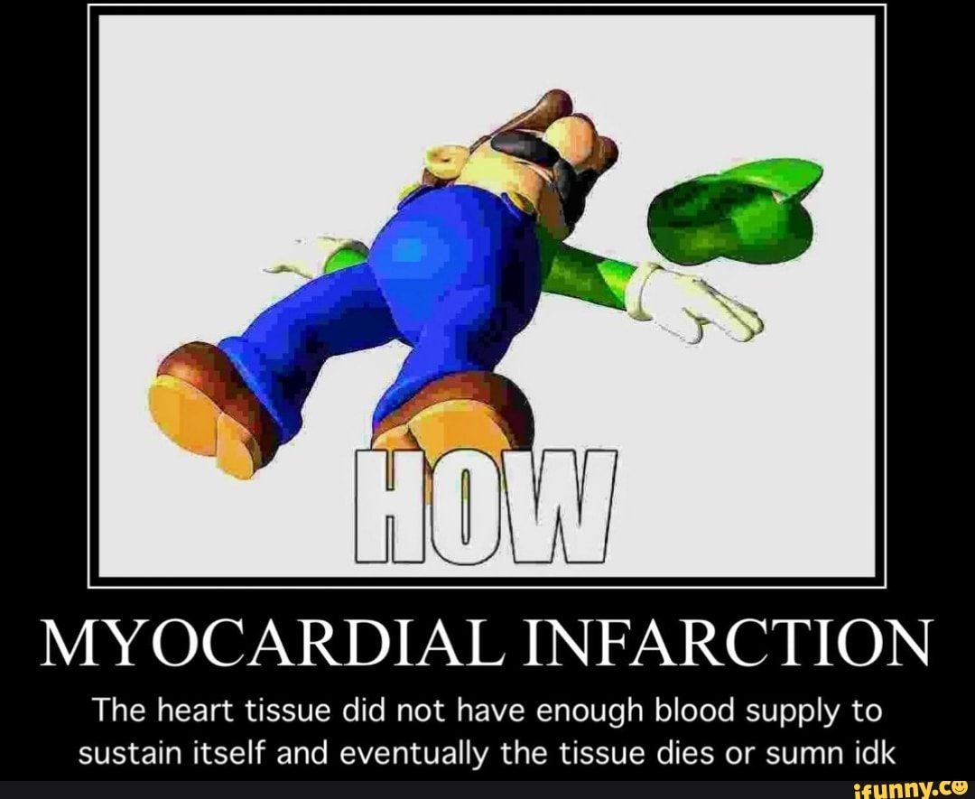 Myocardial memes. Best Collection of funny Myocardial pictures on iFunny