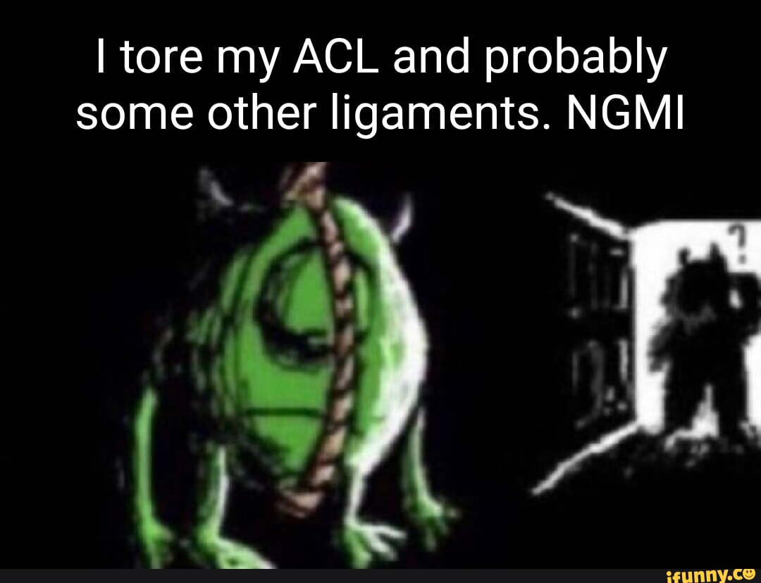 I tore my ACL and probably some other ligaments. NGMI - iFunny